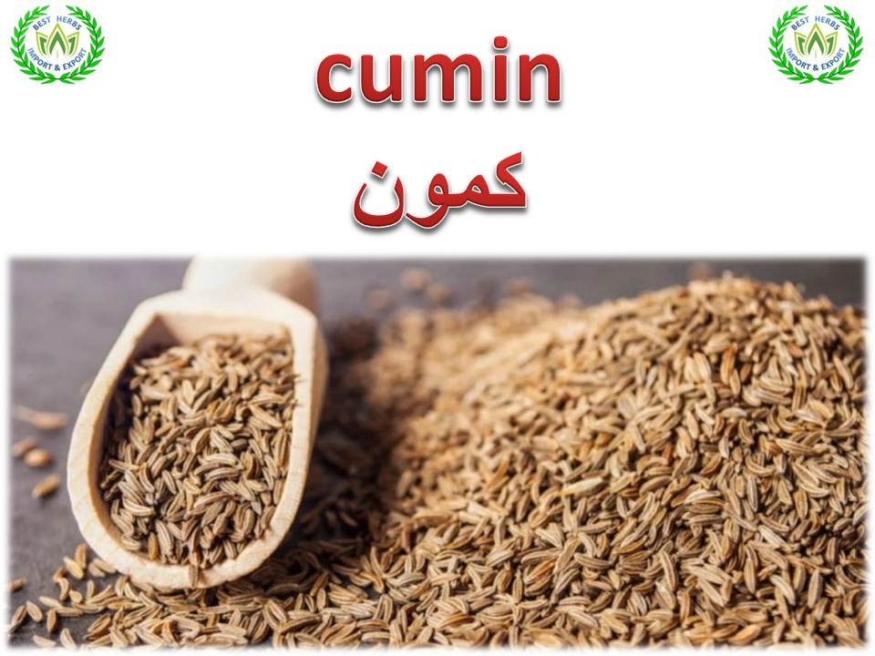 Cumin seeds for export and import - Best Herbs Best Herbs products ...