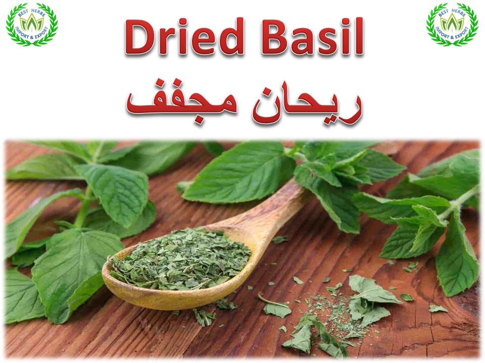 Dried basil for European export. Best Herbs Products - Dried basil ...